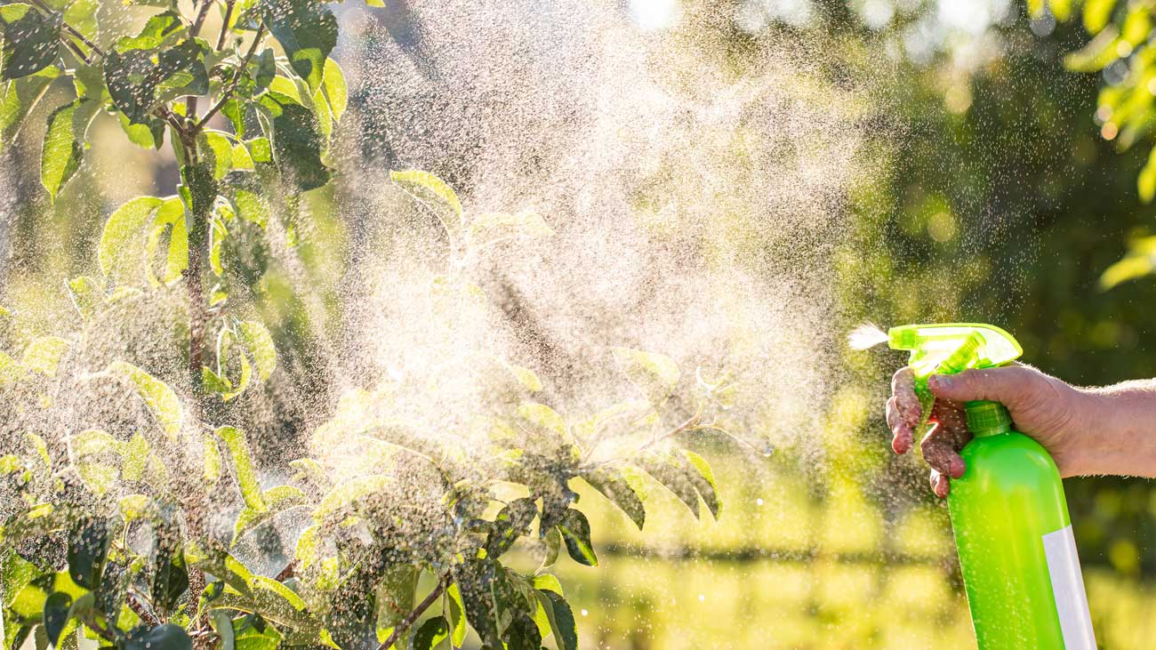 Dynamic Surface Tension - DataPhysics Instruments